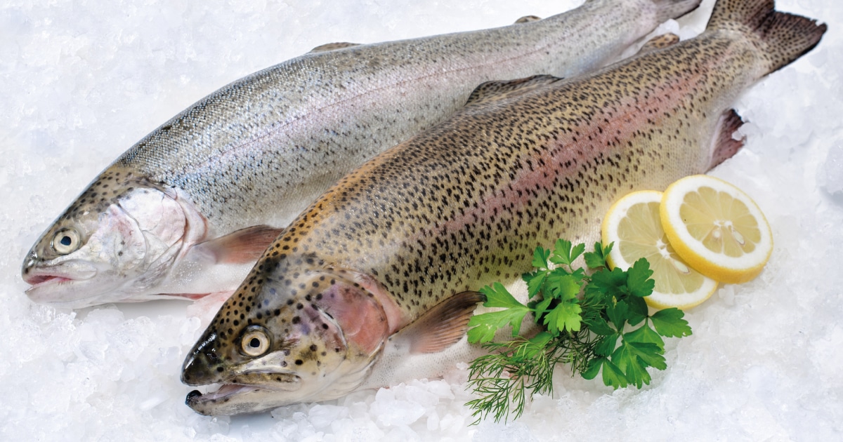 Trota salmonata: scopri la ricetta della Dott.ssa Tucci, dietista di ...